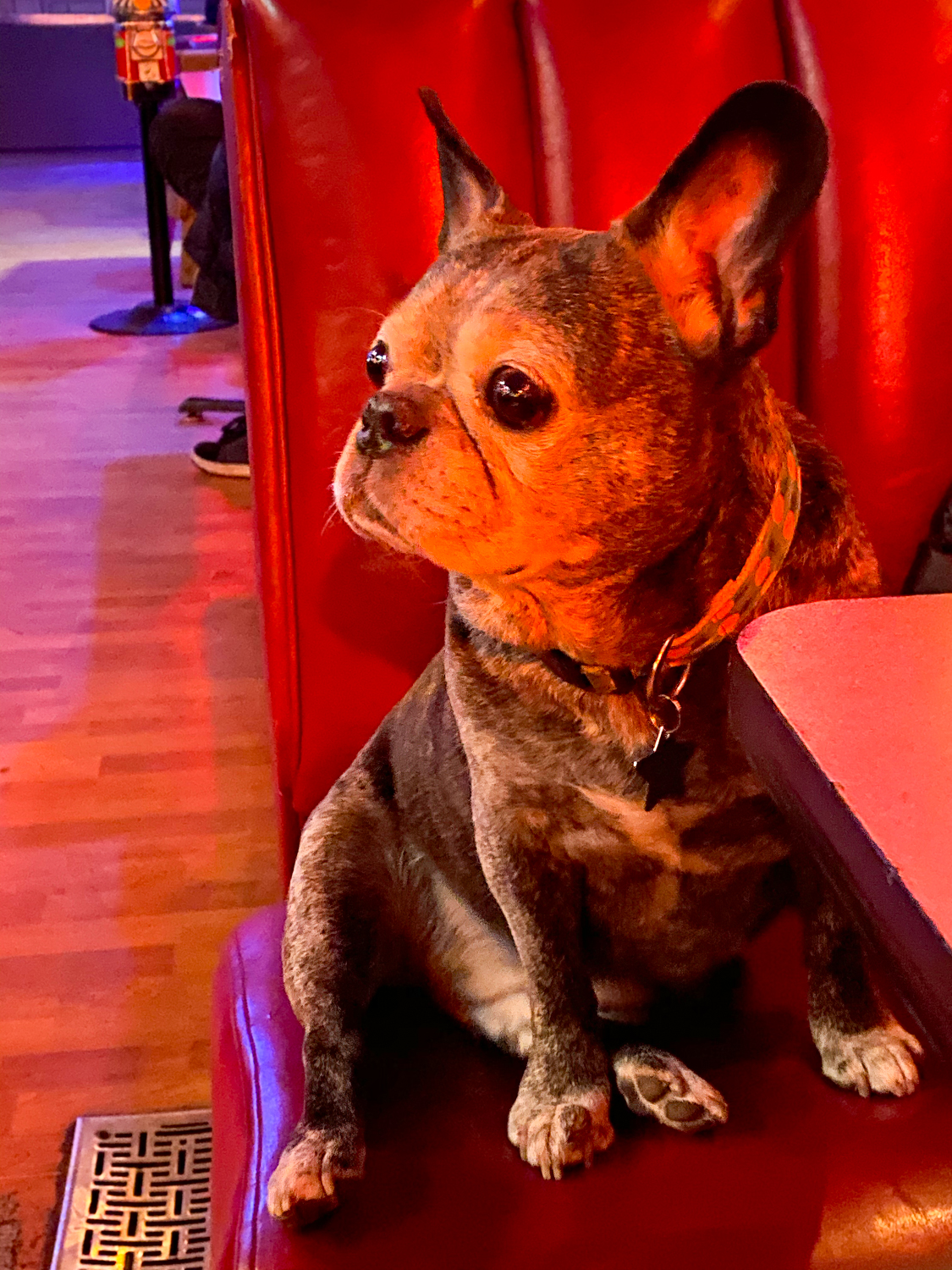 Starday Tavern - Portland Dive Bars